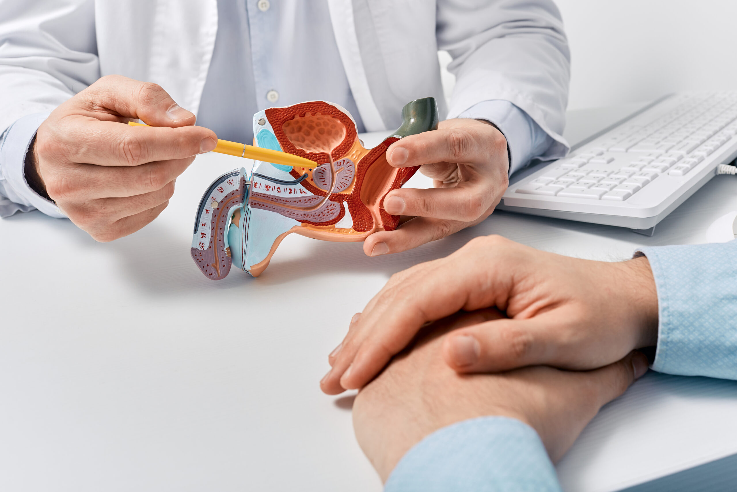 Transperineal Prostate Biopsy Singapore | Urology Procedure